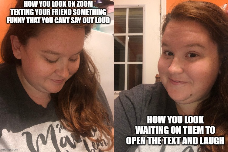 Zoom Calls Imgflip