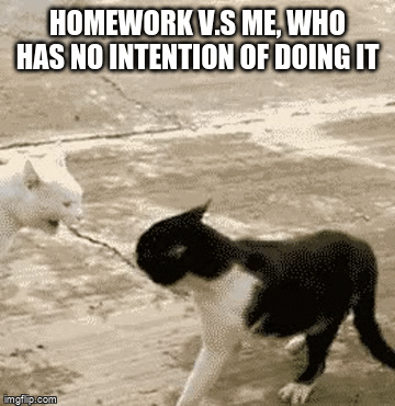 homework v.s me - Imgflip