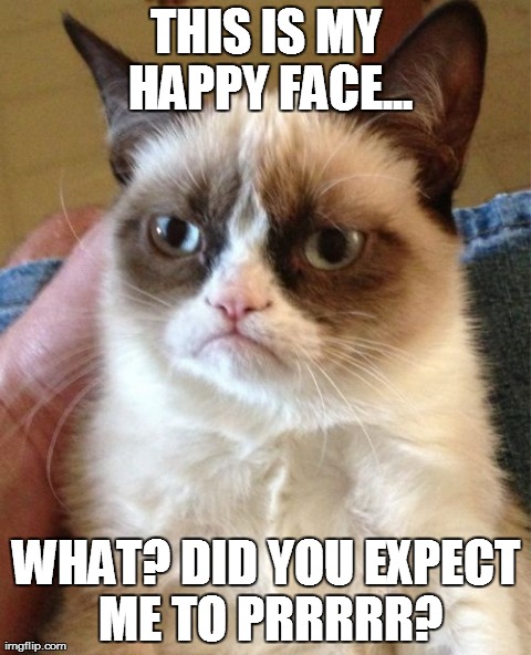 Grumpy Cat Meme - Imgflip