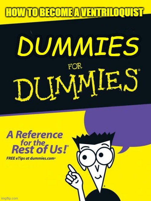 For Dummies Book Imgflip