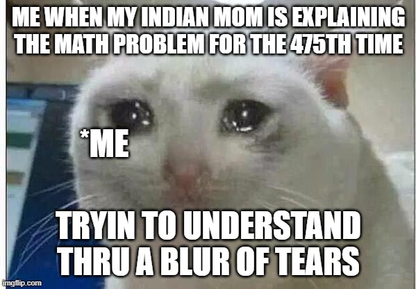 crying cat - Imgflip