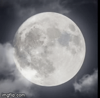 The Full Moons of 2019. See how it wobbles. - Imgflip