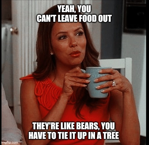 Bear Food Memes