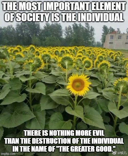 The Rights of the Individual Trump The Minority, The Majority, and the ...