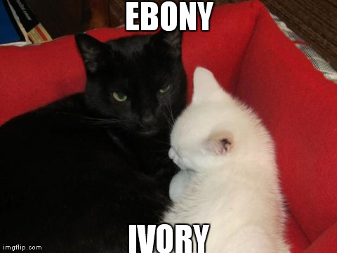 Image tagged in mister mystique - Imgflip