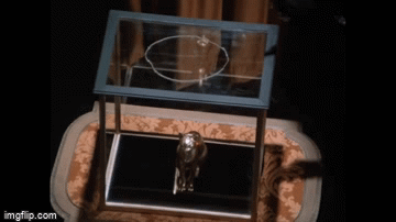 Animated GIF - Imgflip