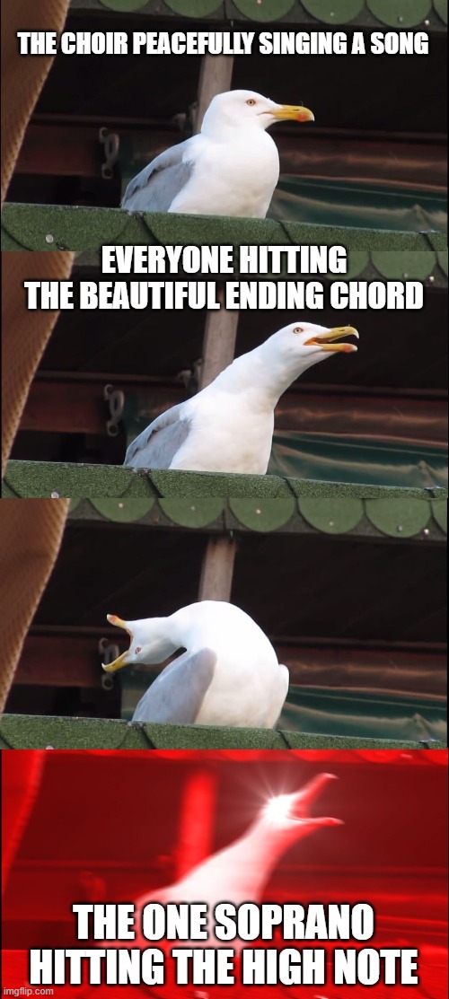 Inhaling Seagull Meme - Imgflip