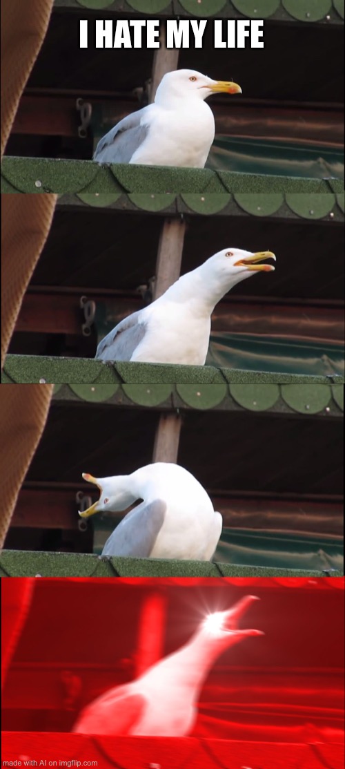 Inhaling Seagull Meme - Imgflip