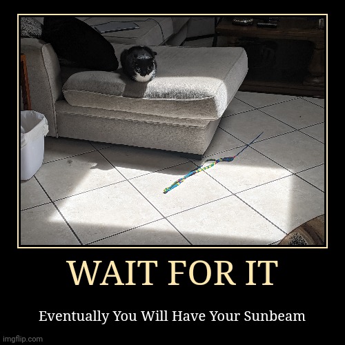 Patience Is A Virtue Imgflip