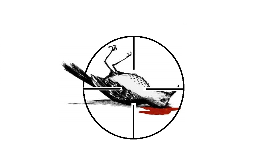 Operation Mockingbird Memes - Imgflip