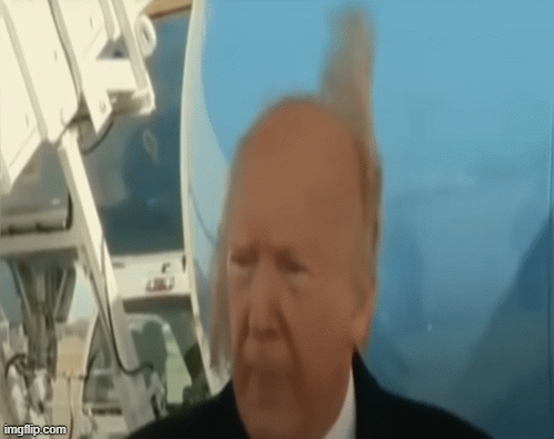 Trumps wig flying off - Imgflip