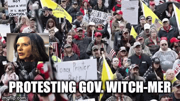 Protesting Michigan Gov. Witch-mer - Imgflip