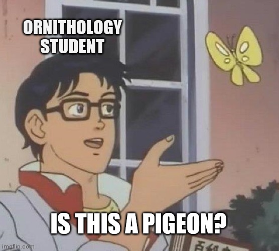 Is This A Pigeon Meme - Imgflip
