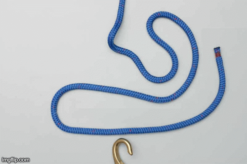 Animated GIF - Imgflip