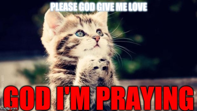 Praying cat - Imgflip