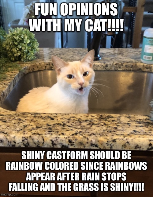 My cat is always right : r/MandJTV