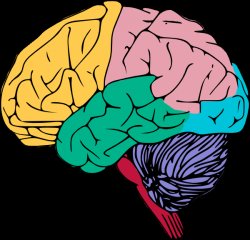 "brain" Meme Templates - Imgflip