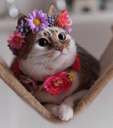 "flowers" Meme Templates - Imgflip