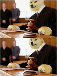 "Doge" Meme Templates - Imgflip