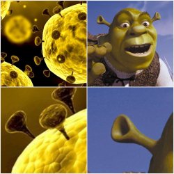 "shrek" Meme Templates - Imgflip
