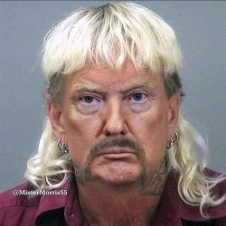 "mullet" Meme Templates - Imgflip