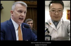 "normal" Meme Templates - Imgflip