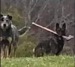 "FAFO" Meme Templates - Imgflip