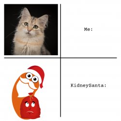 "kids" Meme Templates - Imgflip