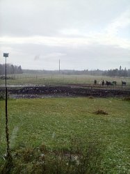 "Mememe" Meme Templates - Imgflip