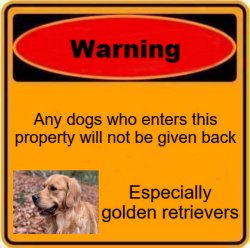 "dog" Meme Templates - Imgflip