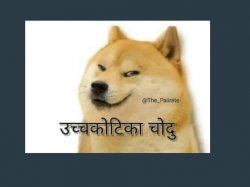 "doge" Meme Templates - Imgflip