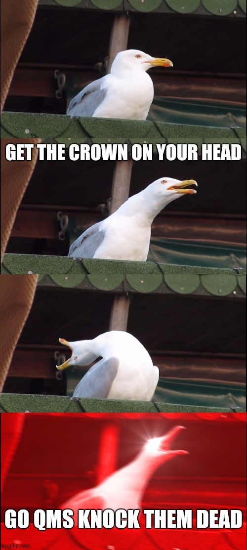 Inhaling Seagull Meme - Imgflip