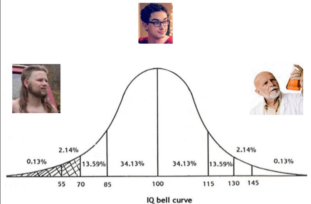 IQ Belle Curve Blank Template Imgflip