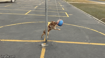 You want mad tetherball skills? Because that's how you get mad ...