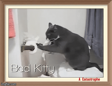 a catastrophe - Imgflip