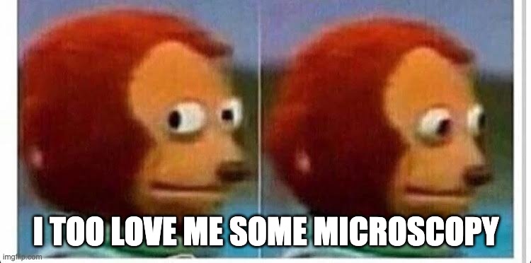 Awkward muppet - Imgflip