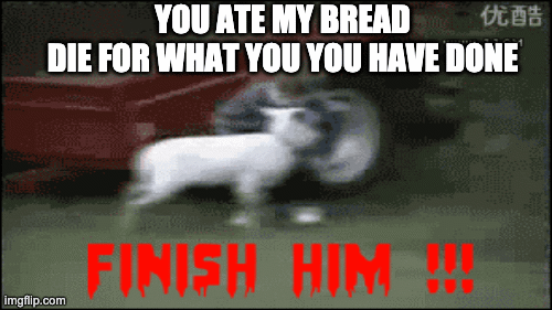 YOU ATE MY BREAD - Imgflip
