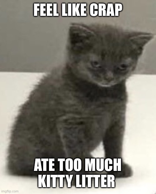 Grumpy kitty - Imgflip