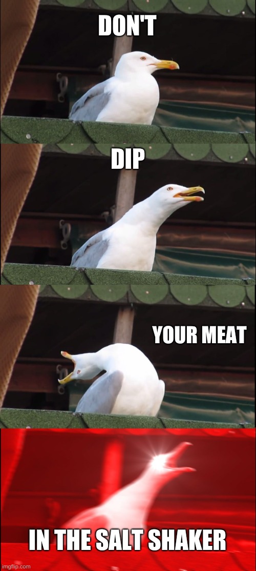 Inhaling Seagull Meme - Imgflip