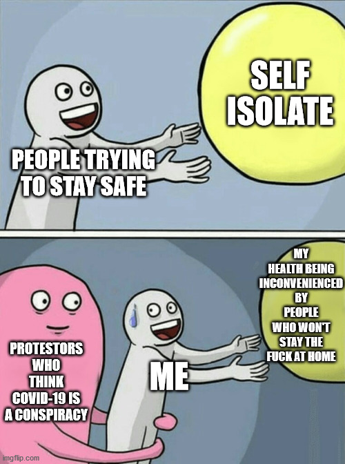 Idiots Running Wild - Imgflip