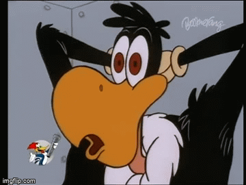 Alberto Del Rio back in the jail like... - Imgflip