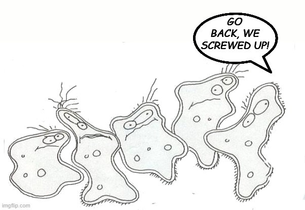 [R]evolution? - Imgflip