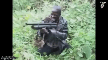 TIGER MAFIA! - Imgflip