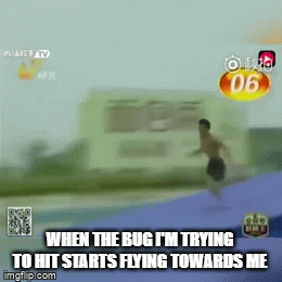 When the bug I'm trying to hit starts flying towards me - Imgflip