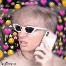 :( flamingo cri - Imgflip