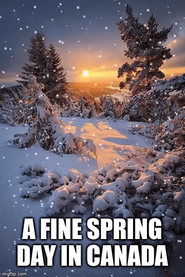 Canadian Spring Memes Canadian First Day Of Spring... : R/funny