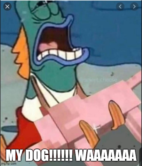 Poor doggy woggy ? - Imgflip