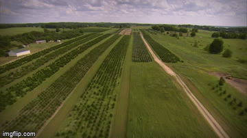 Animated GIF - Imgflip