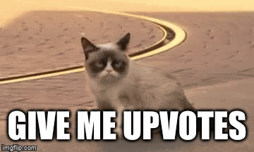 upvote begging cat - Imgflip