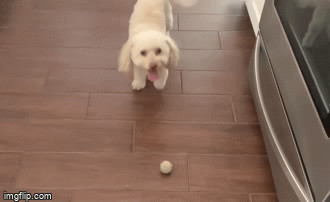 Take a Step Forward...Take a Step Back... - Imgflip